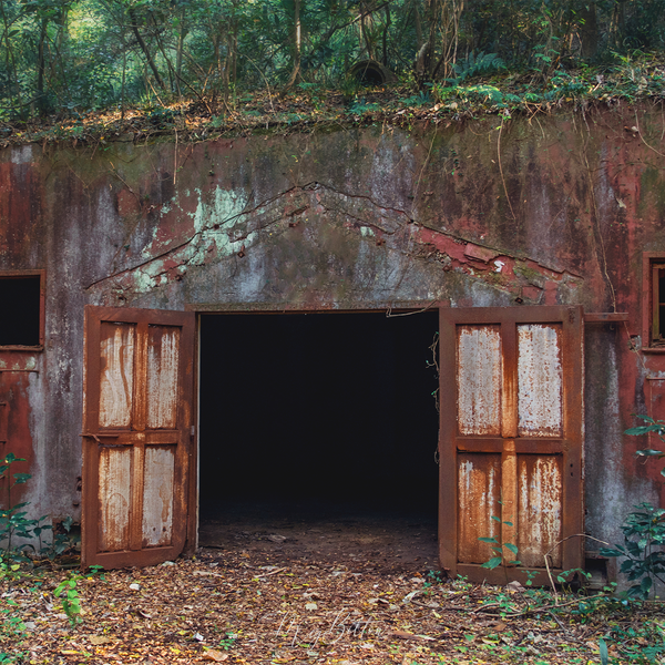 Digital Background: Rusty Ruins – Meg Bitton Productions