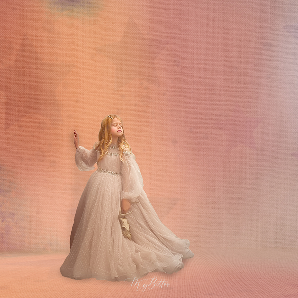 Digital Studio Backdrop: Pink Dream – Meg Bitton Productions